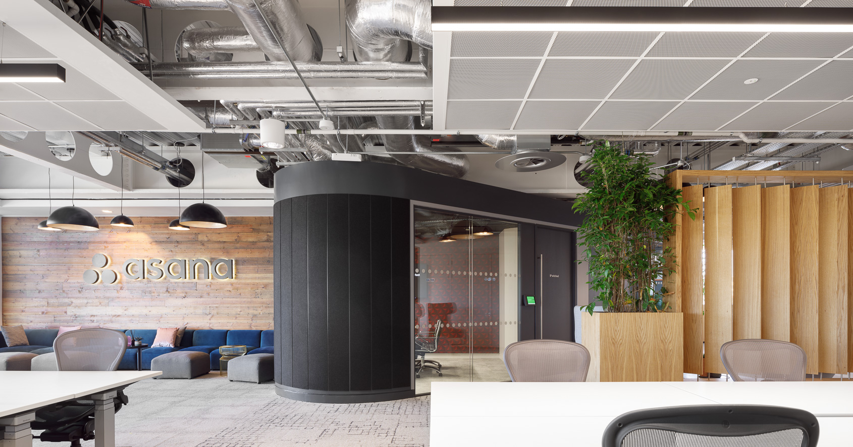 Asana Success Story - ErgoGlobal